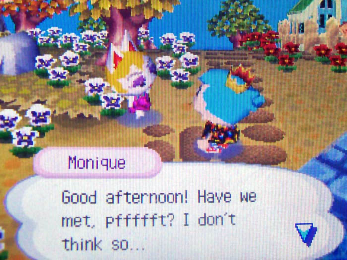 Catching up in Dafdilly | A Forest Life